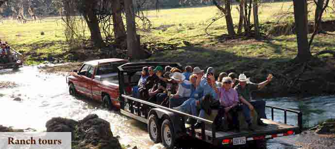 Knibbe Ranch, Spring Branch, TX Jobs | Hospitality Online