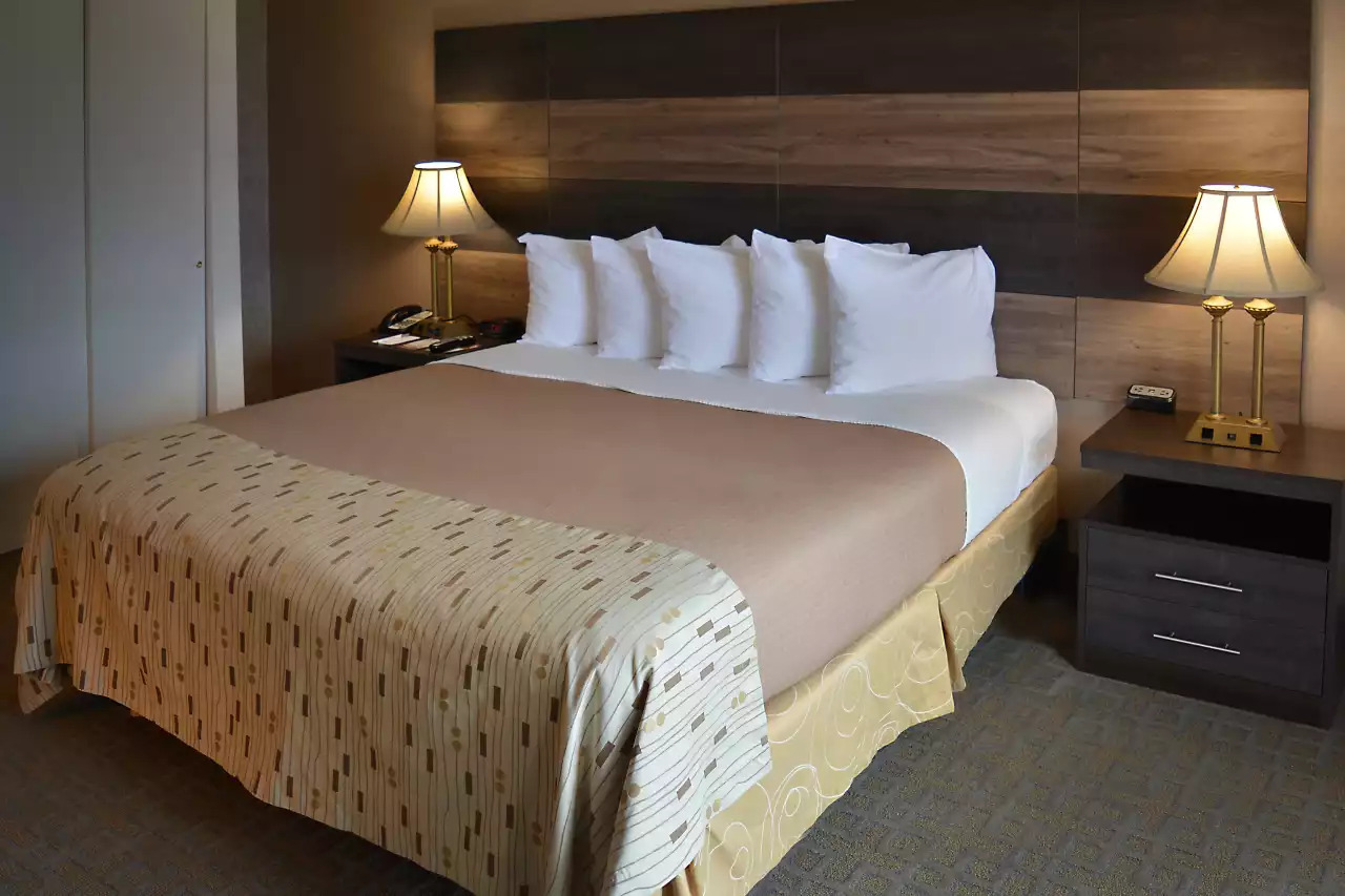 Jobs At Clarion Hotel Philadelphia International Airport Essington PA Hospitality Online jobs-at-clarion-hotel-philadelphia-international-airport-essington-pa-hospitality-online