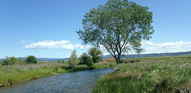 Mechoopda Indian Tribe of Chico Rancheria, Chico, CA Jobs | Casino Careers